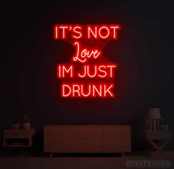 It's Not Love I'm Just Drunk | Style Your Homes & Parties